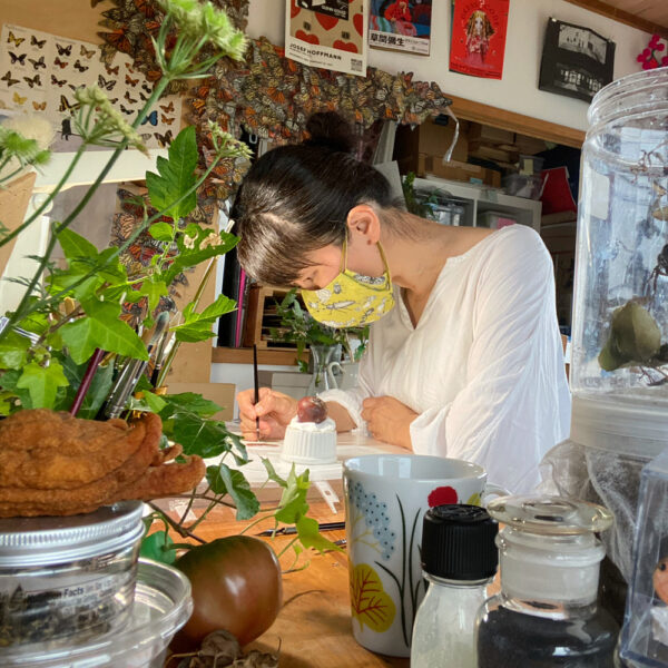 Media information for ‘Botaniphoria’ by Asuka Hishiki – Two Rivers Press